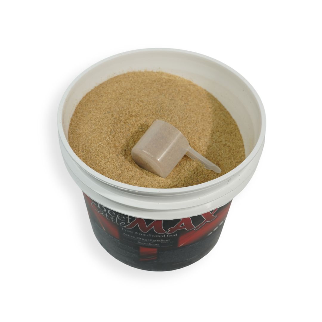 Beef Cattle Max – Winning Enterprise Supplements